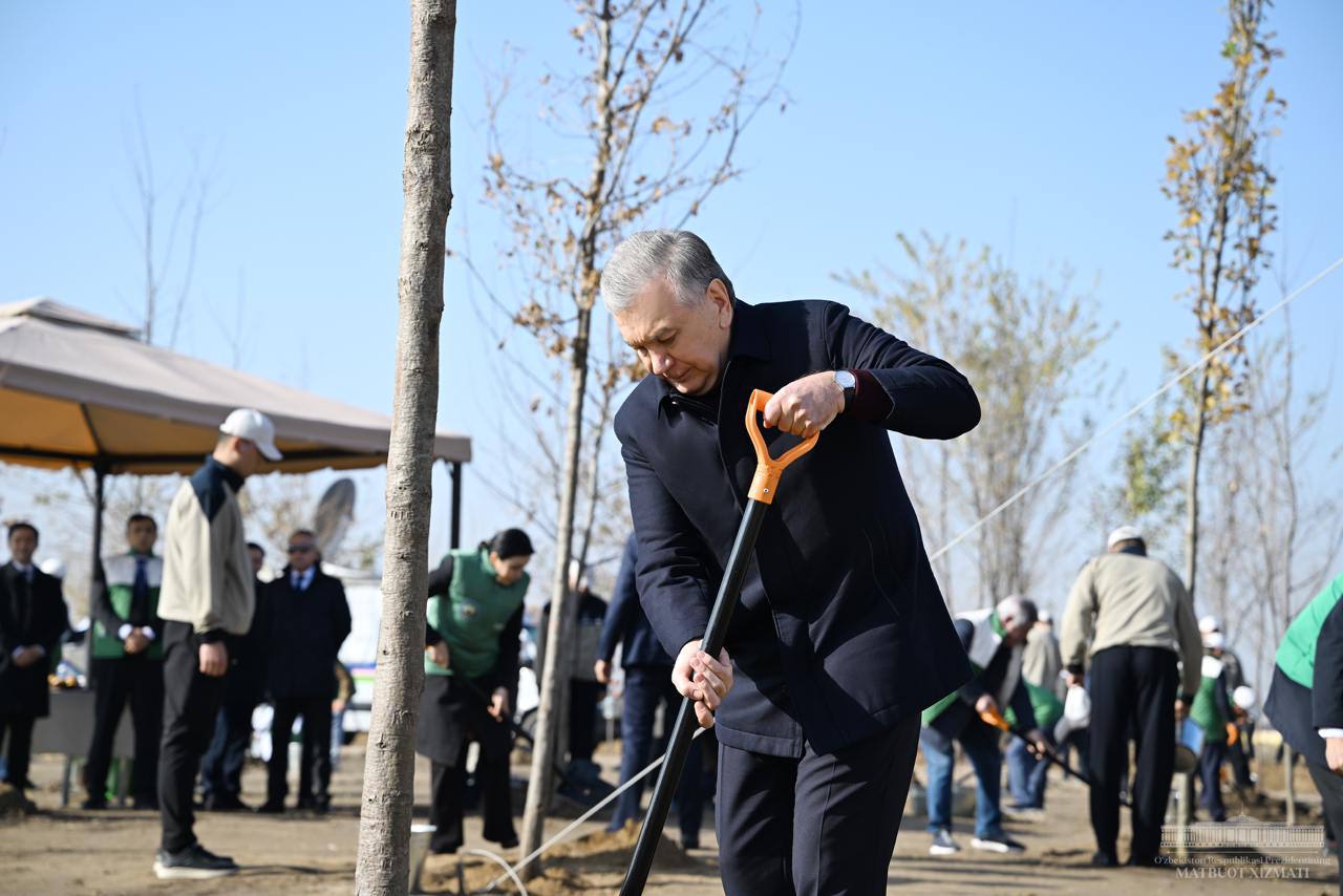 PRESIDENT SHAVKAT MIRZIYOYEV TOOK PART IN THE PLANTING OF TREES AS PART ...